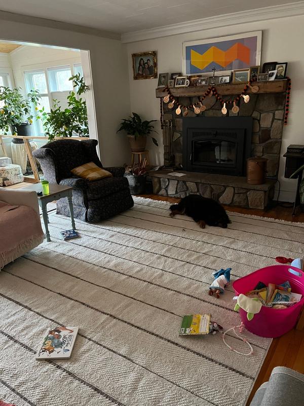 nuLOOM Aloe Striped Tassels 9ft. x 12ft. Beige Area Rug in the Rugs ...