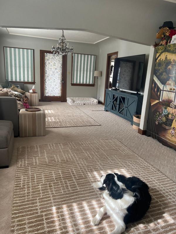 nuLOOM Gio Crosshatch Wool 8ft. x 10ft. Beige Area Rug in the Rugs ...