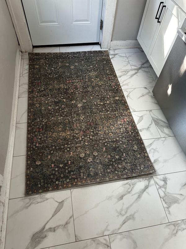 nuLOOM Sovienne Traditional Floral and Paisley Area Rug in the Rugs ...