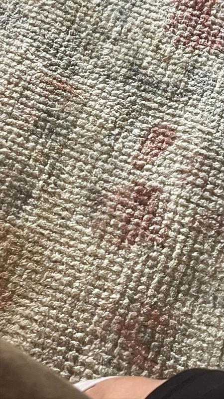 Rugs USA Padma Lakshmi Sufi Hand-Tufted Floral Motif Wool-Blend Rug 8ft ...