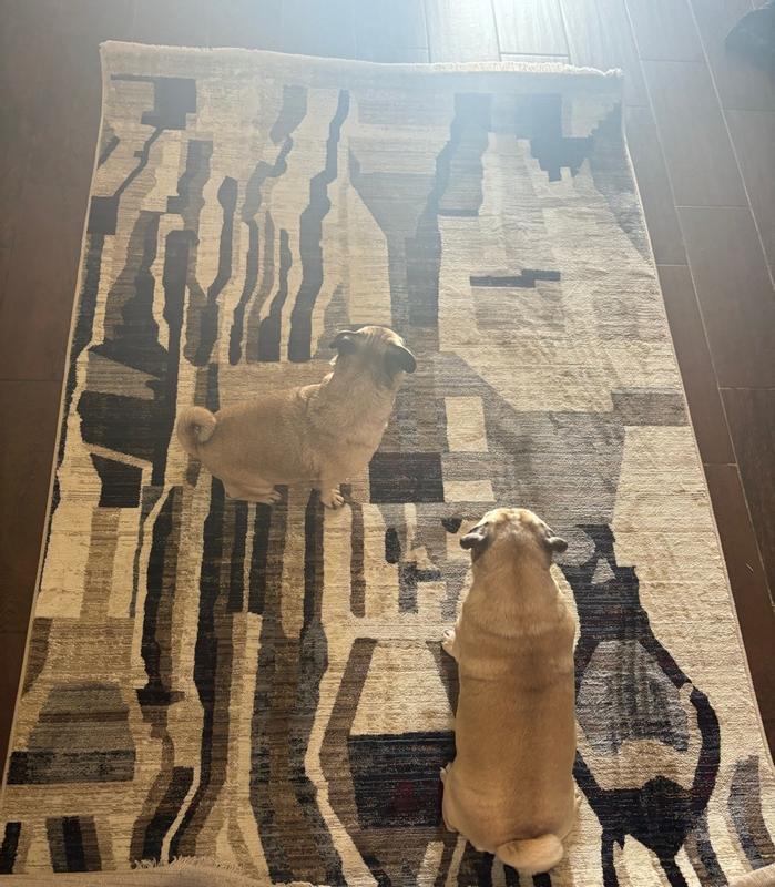 nuLOOM Bheri Abstract 5ft. x 7ft. 10in. Beige Area Rug in the Rugs ...