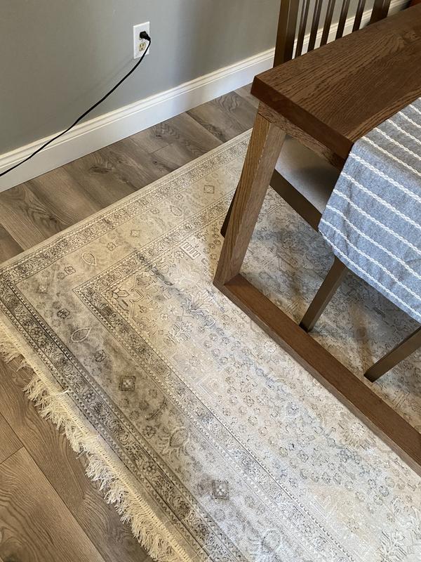 nuLOOM 6 x 9 Silver Indoor Medallion Vintage Area Rug at Lowes.com