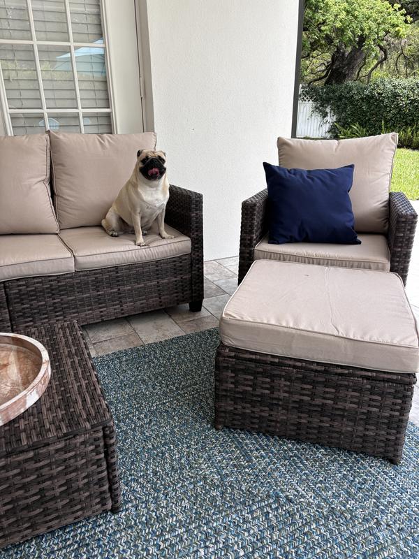 nuLOOM Wynn Braided Indoor/Outdoor Area Rug at Tractor Supply Co