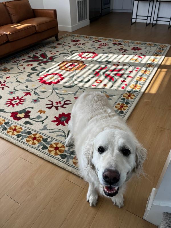 Rugs USA Padma Lakshmi Shangrila Folk Floral Wool Rug 6ft. x 9ft ...