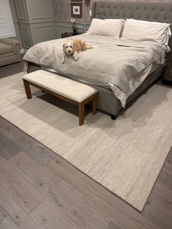 Rugs USA Nate Berkus Hollis Solid Wool Cozy Area Rug in the Rugs ...