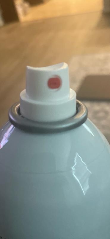 Rust-Oleum Low Odor 6 -Pack Matte Dusty Rose Spray paint ( NET WT. 11 ...