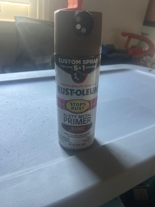 Rust-Oleum Stops Rust 6-Pack Flat Rusty Metal Spray Paint and Primer In ...