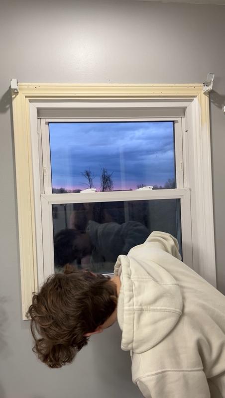 Rust-Oleum Satin Alpine Gray Water-based Interior/Exterior Door and ...