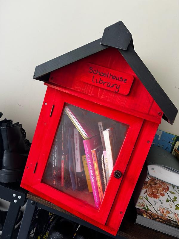 Rust-Oleum Low Odor 6 -Pack Matte Dusty Rose Spray paint ( NET WT. 11 ...