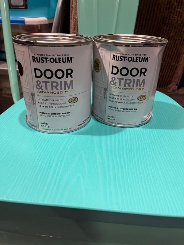Rust-Oleum Satin Alpine Gray Water-based Interior/Exterior Door and ...