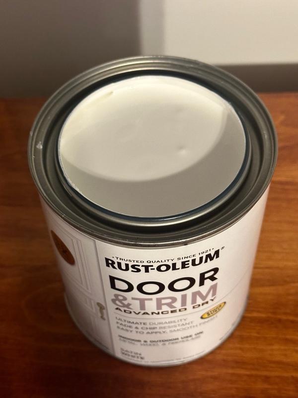Rust-Oleum Satin Alpine Gray Water-based Interior/Exterior Door and ...