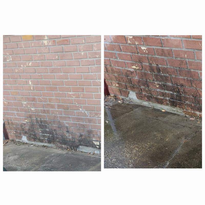 Home Armor 64 Fluid ounce(s) Liquid Mold Remover in the Mold Removers ...