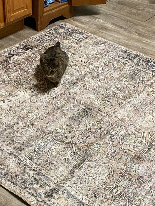 World Rug Gallery 2 X 10 (ft) Olive Indoor Oriental Machine Washable ...