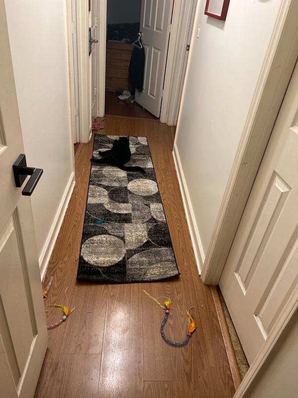 World Rug Gallery Kensley 2 x 7 (ft) Flatweave Polypropylene Black ...