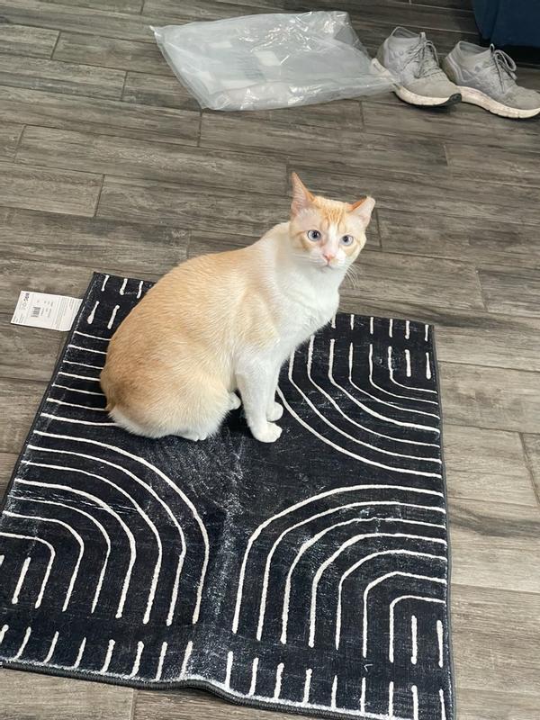 World Rug Gallery Stanford 5 x 7 (ft) Flatweave Ivory Rectangular ...