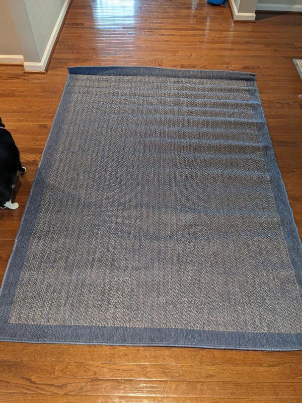 World Rug Gallery Garden 2 x 7 (ft) Flatweave Blue Rectangular Indoor ...