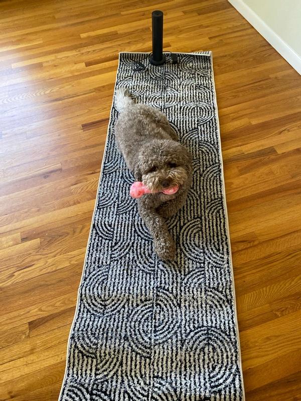 World Rug Gallery Kensley 2 x 7 (ft) Flatweave Polypropylene Cream ...