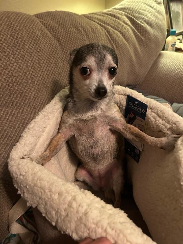 Sherpa Tan Luxe Tote Fashionable Pet Carrier, Medium | Petco