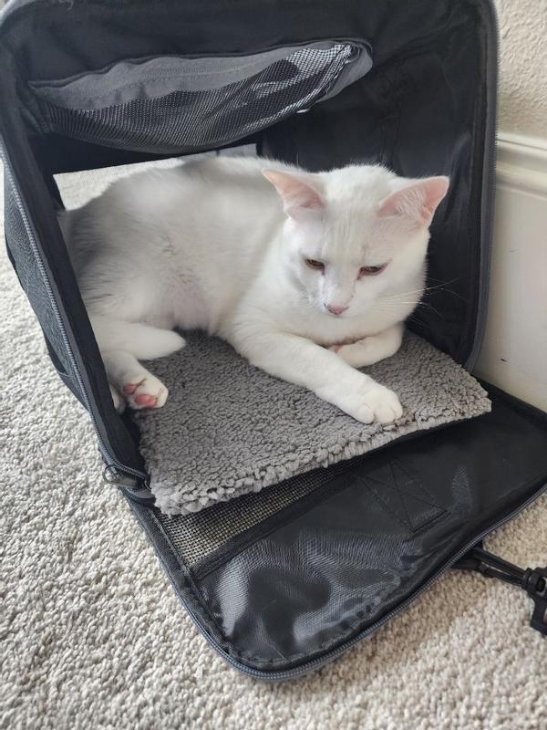 Sherpa Black Essential Soft Sided Pet Carrier for Cats & Dogs, Large ...