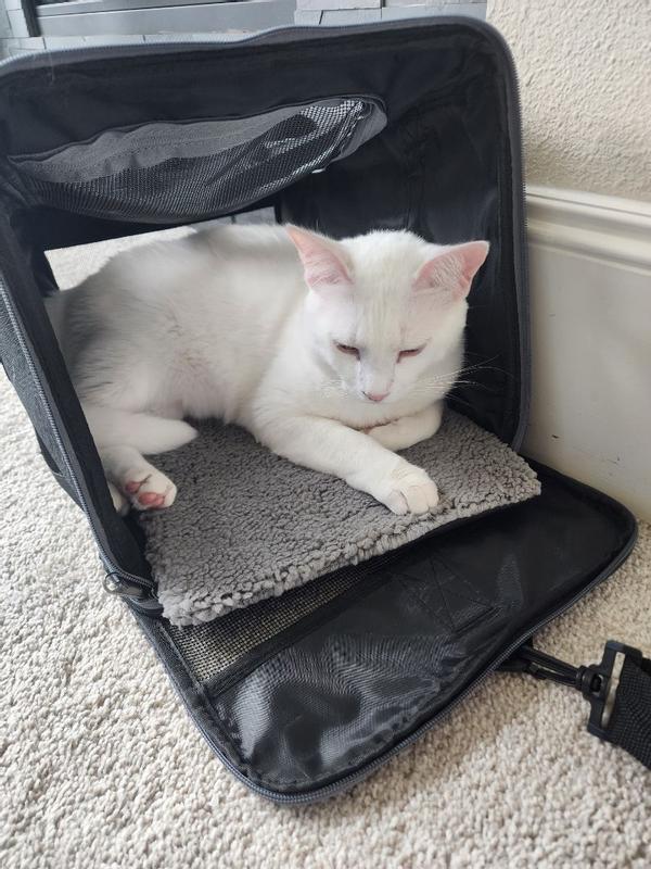 Sherpa Black Essential Soft Sided Pet Carrier for Cats & Dogs, Large ...