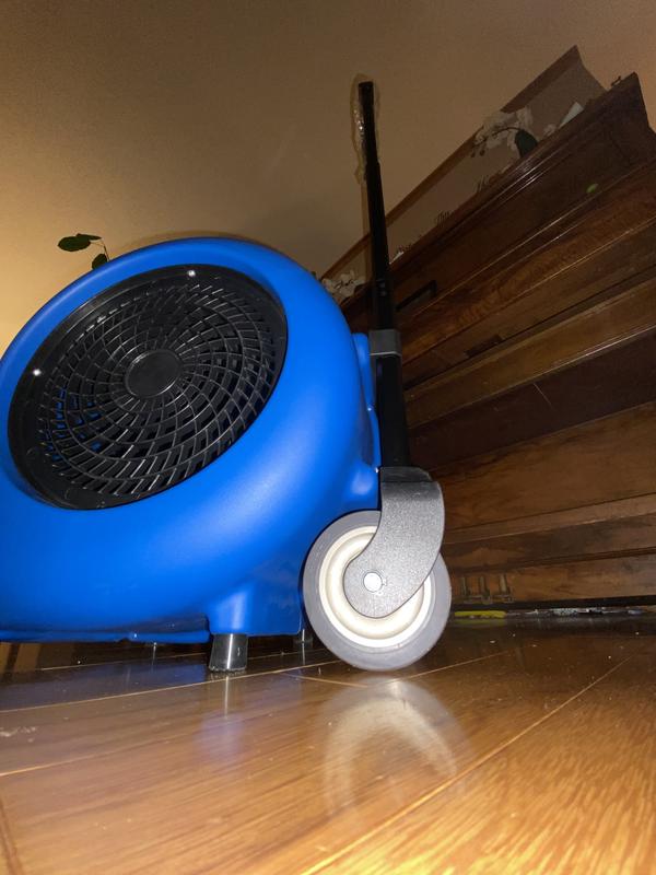 Comfort Zone 11-in 120-Volt 3-Speed High Velocity Indoor Blue Floor Fan ...
