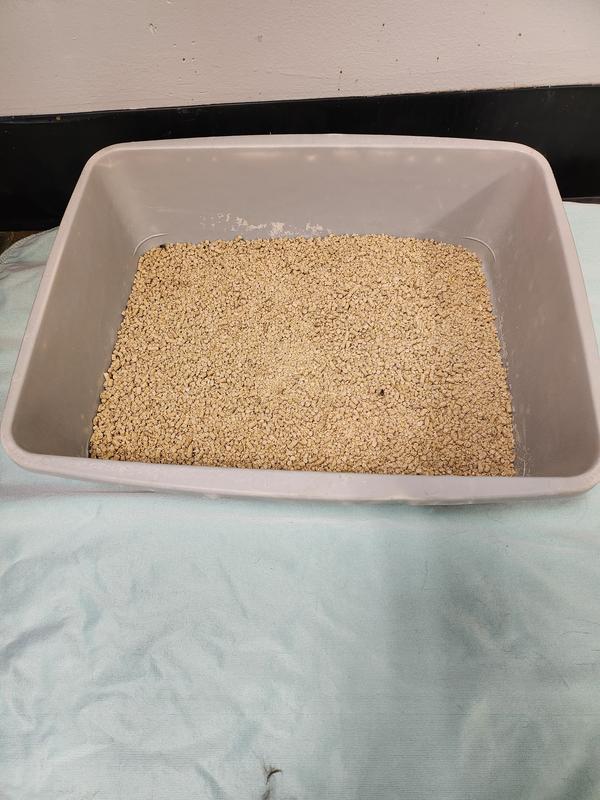 World's Best Cat Litter Boosters Health Check-In Additive for Health ...