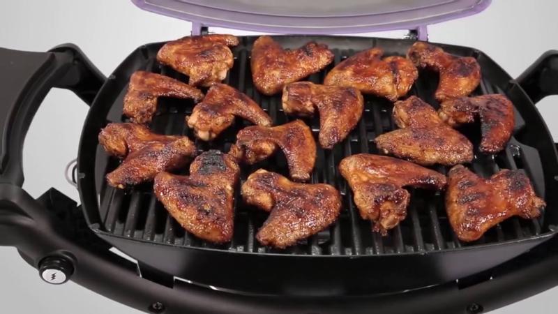 Weber Grill Q 1200 at Tractor Supply Co