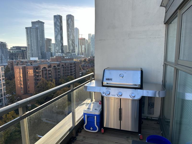 Weber 3-Burner Propane Gas Genesis E-315 Grill, 39,000 BTU at Tractor ...