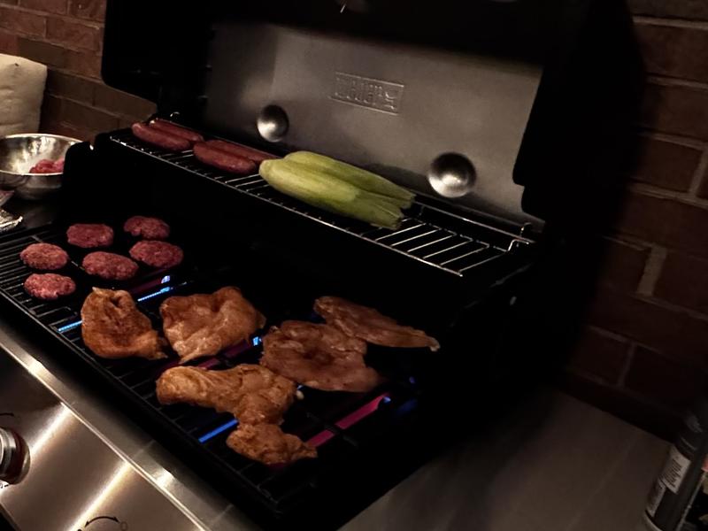 Weber 3-Burner Propane Gas Genesis E-315 Grill, 39,000 BTU at Tractor ...