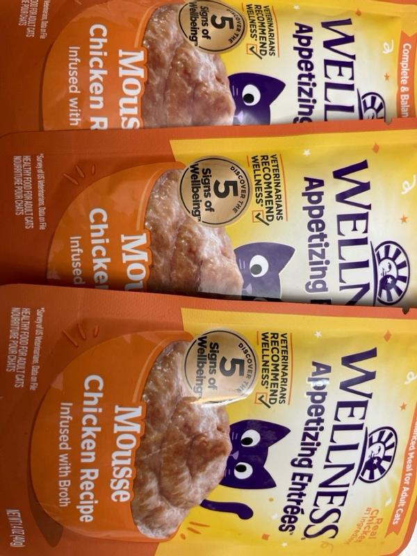 Wellness Chicken Mousse & Broth Wet Cat Food, 8-Pack