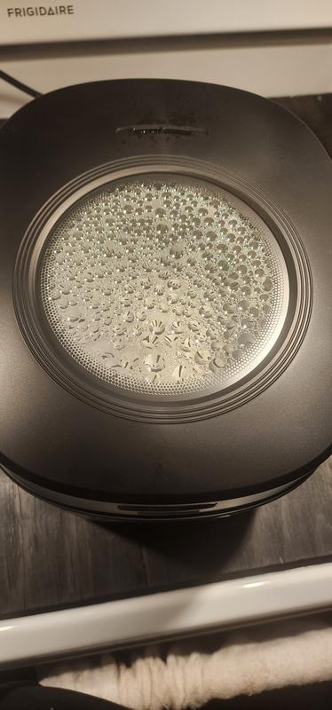 West Bend 12 Cups Programmable Black Rice Cooker RCWB2LBK13 at Lowes.com