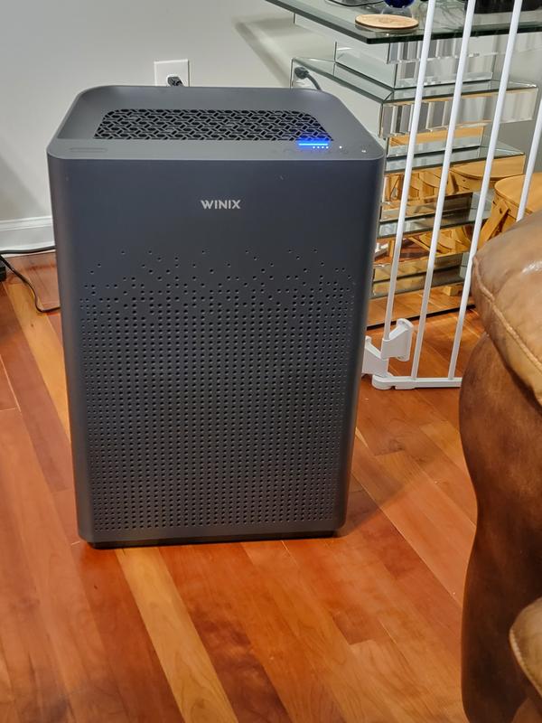 Winix AM80 4 Speed Ionic Black True HEPA Air Purifier ENERGY STAR Covers 1740 sq ft 1022 0214 04 at Lowes