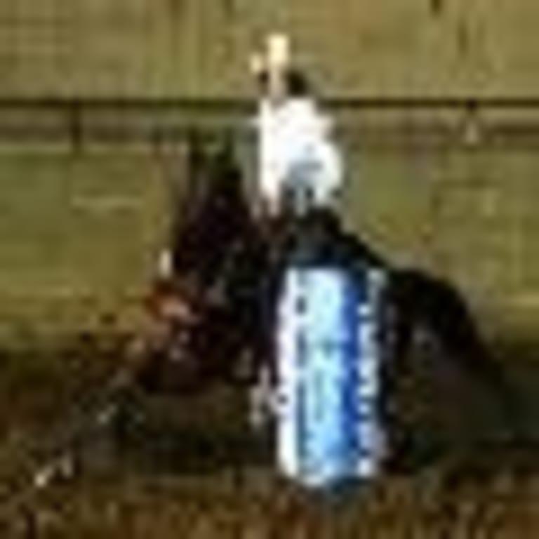 Wrangler Women's Slim Fit High-Rise Cowboy Cut Jeans, 18MWZSW at ...