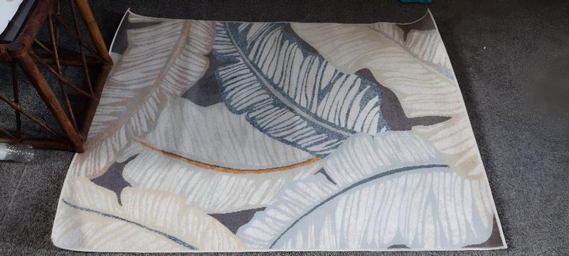 Tommy Bahama CAY 5 x 7 (ft) Loomed Polypropylene Dark Grey/Multi ...