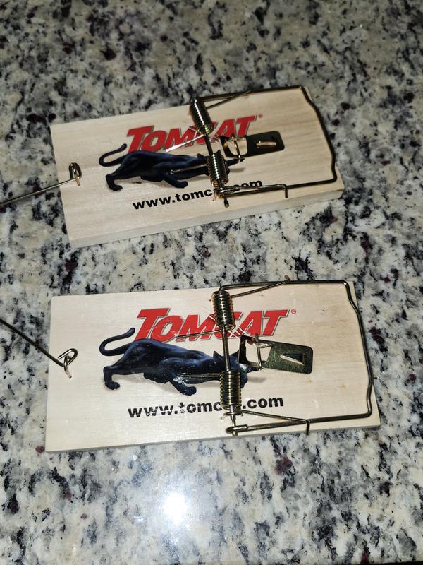 TOMCAT Wooden Rat Trap in the Animal & Rodent Control department at ...