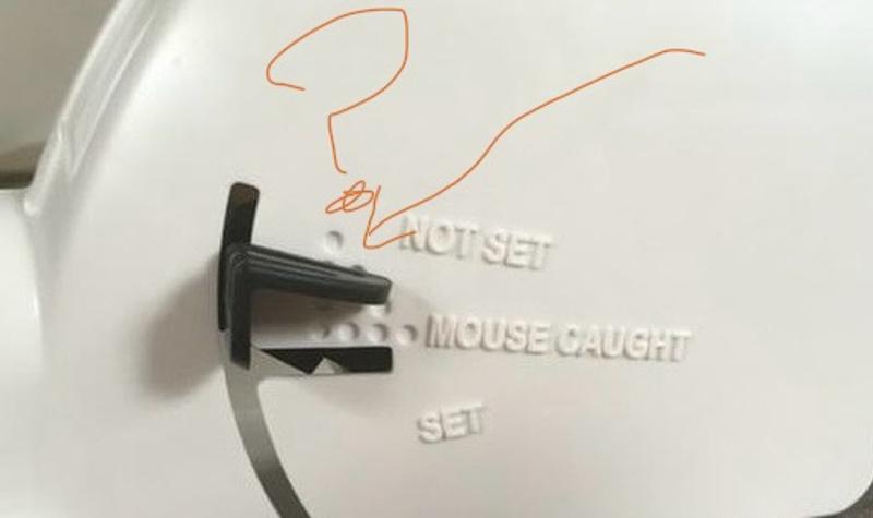 Tomcat Kill and Contain Mouse Traps, 2-Pack at Tractor Supply Co