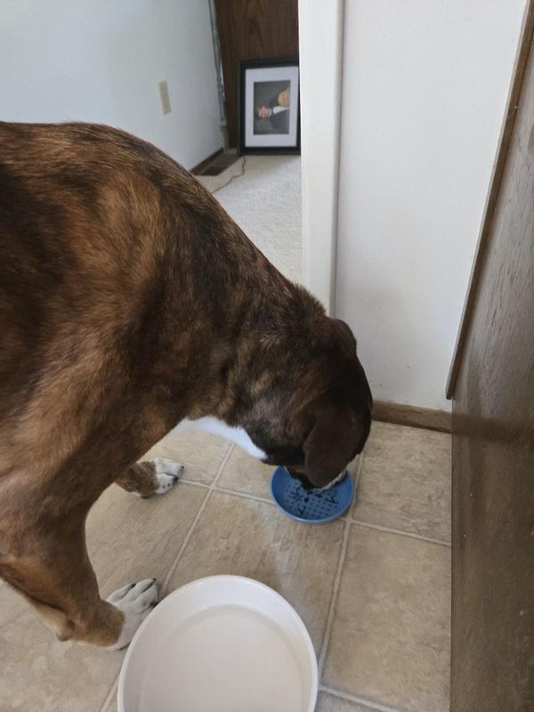 YummyRade Meal Enhancer for Cats, 8.4 fl. oz. at Tractor Supply Co