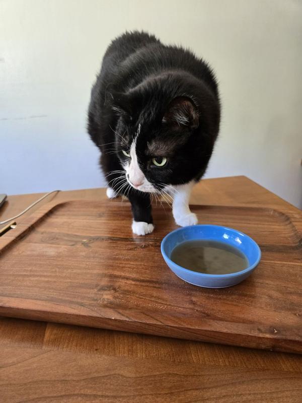 YummyRade Meal Enhancer for Cats, 8.4 fl. oz. at Tractor Supply Co