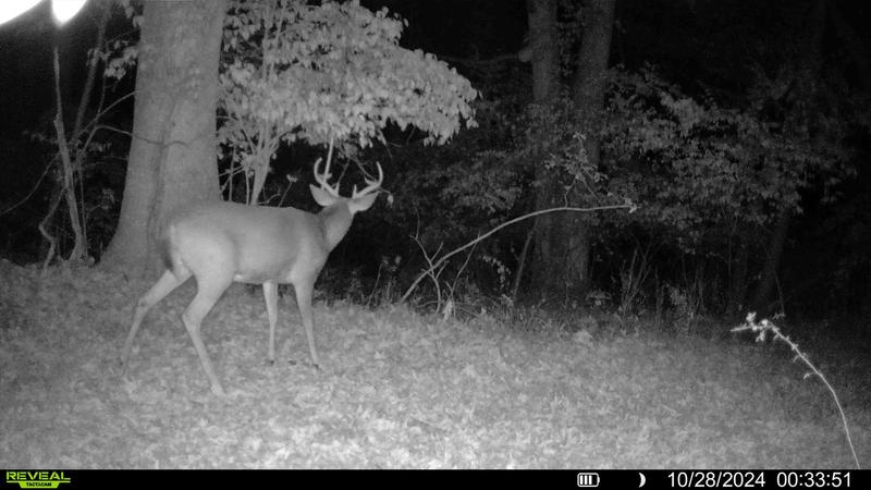 Reveal X PRO 3.0 Game camera in the Hunting Equipment & Apparel ...