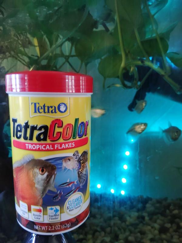 Tetra Color Tropical Flakes Fish Food, 7.06 oz. | Petco