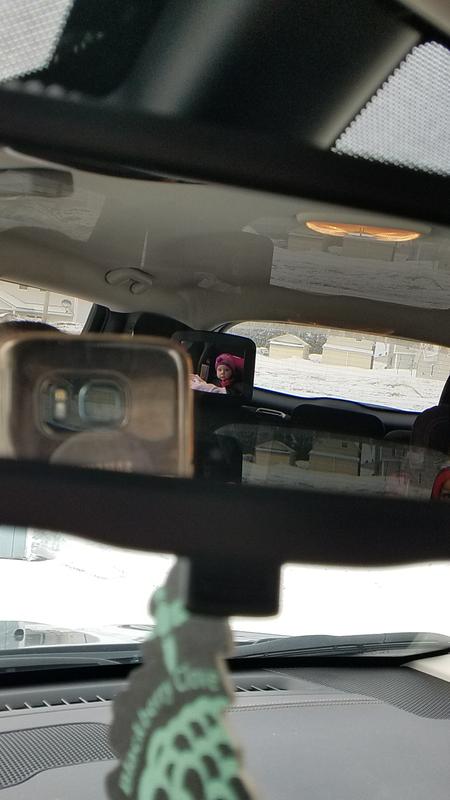 Dreambaby Adjustable Swivel Arm Car Mirror Mount for Maximum Visibility ...