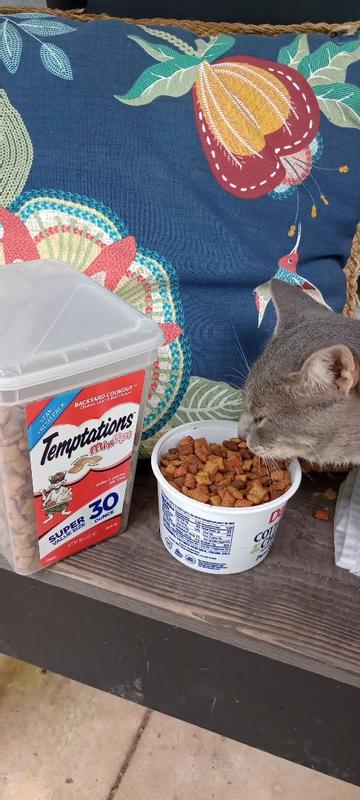 Temptations MixUps Chicken, Liver and Beef Flavor Backyard Cookout ...