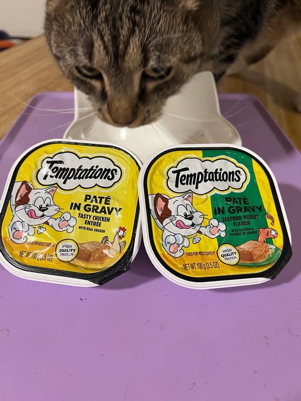 Temptations Wet Cat Food, Seafood Medley Flavor Pate in Gravy, 3.5 oz ...