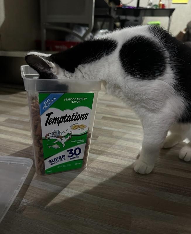 Temptations Classic Seafood Medley Flavor Crunchy and Soft Cat Treats ...