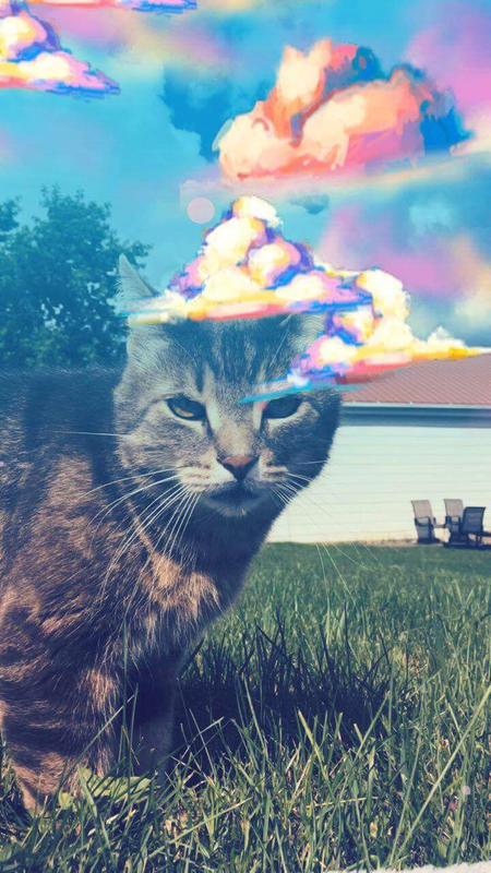 Whiskas TemPtations Indoor Classic Cat Treats, 130-g | Canadian Tire