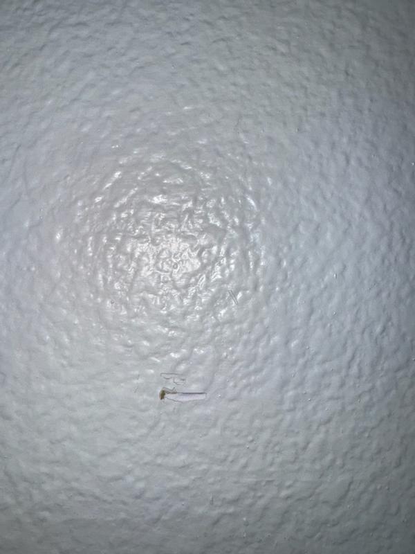 Gorilla Wall Repair Purple Interior/Exterior Color-Changing , Heavy ...