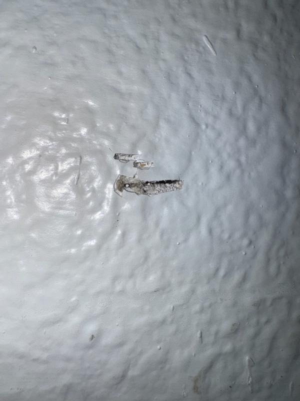 Gorilla Wall Repair Purple Interior/Exterior Color-Changing , Heavy ...