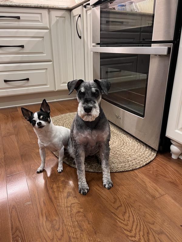 The Honest Kitchen Dehydrated Whole Grain, Veggie & Fruit Base Mix ...