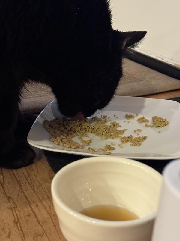 The Honest Kitchen Whole Food Clusters Grain Free Chicken & Fish Dry ...