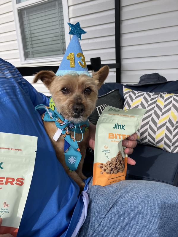 Jinx Chicken & Mango Recipe Cube Dog Treats - 6 oz. | Bloomingdale's